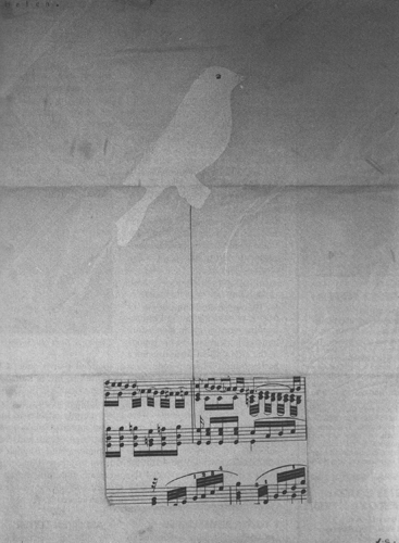 Birds of Paradox - Tricycle: The Buddhist Review
