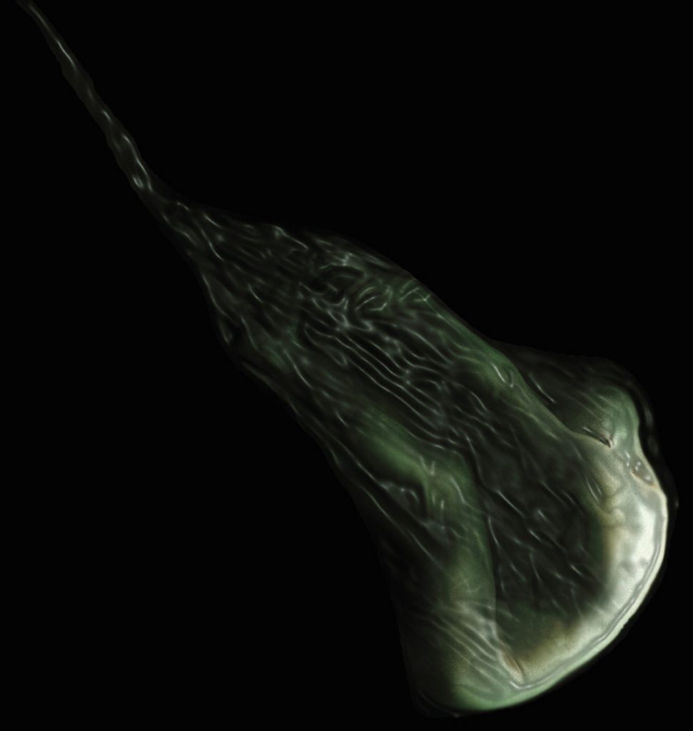 Reggie Ray on Touching Enlightenment with the Body - Tricycle