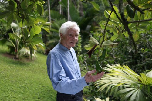 W. S. Merwin: The Garden & The Sword - Tricycle: The Buddhist Review