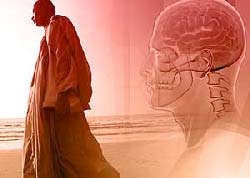 Dharma and Neuroscience: Did Buddhism get the brain right? - Tricycle ...