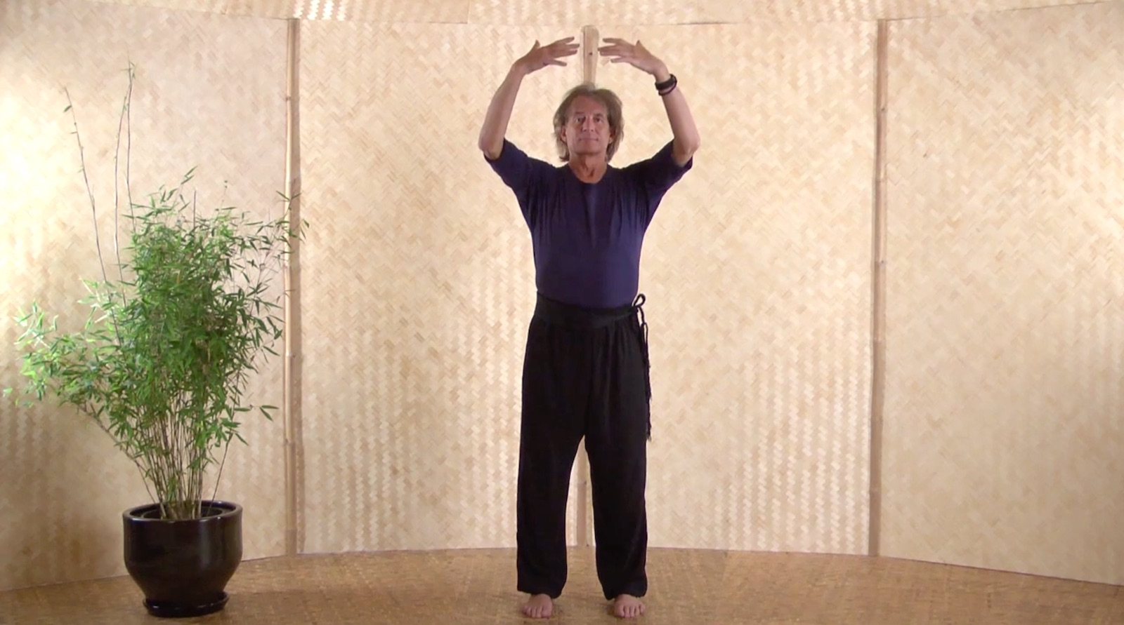 Qigong for Meditators: Radiant Body Breathing - Tricycle: The Buddhist ...