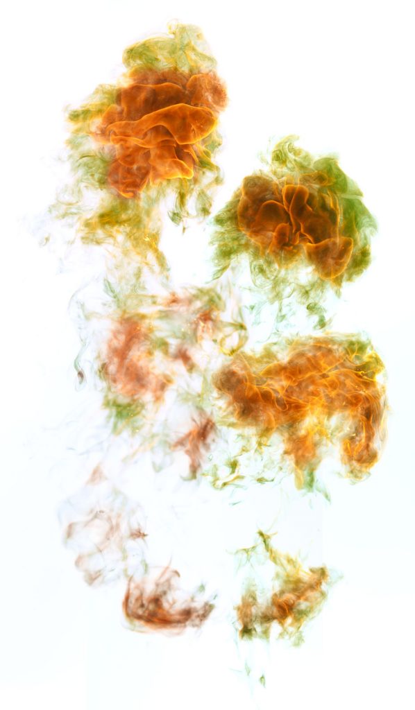 Self-Immolation: Burning for the Buddha - Tricycle: The Buddhist Review