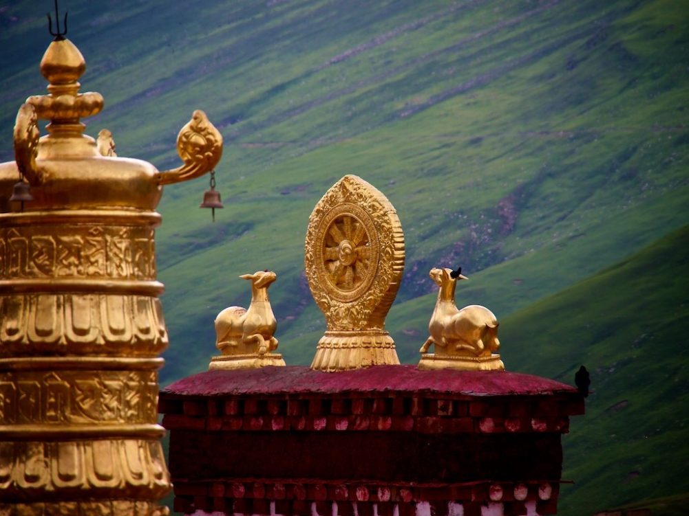 How Do We Learn the Dharma? - Tricycle: The Buddhist Review