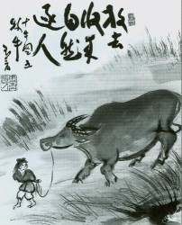 The Ten Oxherding Pictures - Tricycle: The Buddhist Review