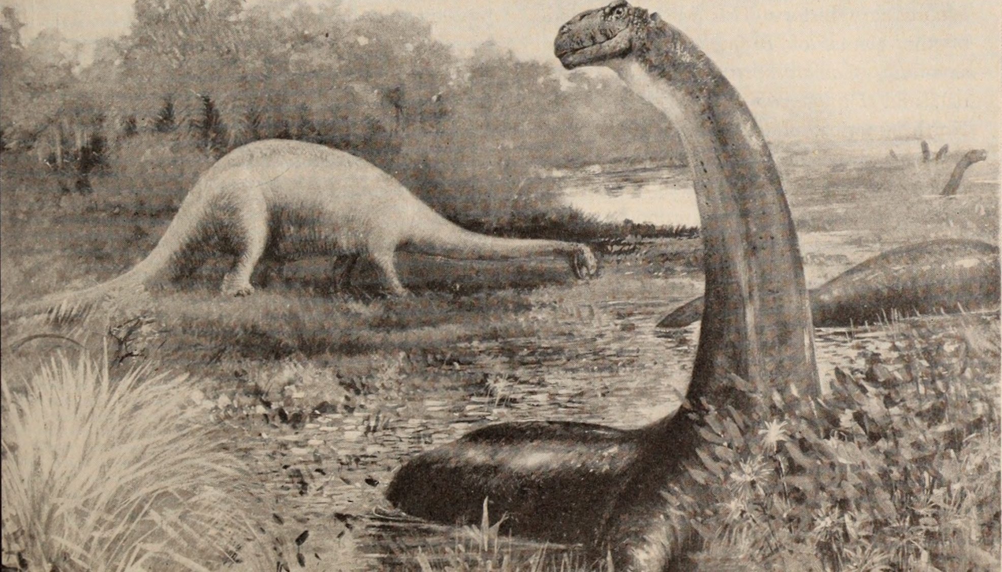 (Meta)Physical Education: A Bucking Brontosaurus