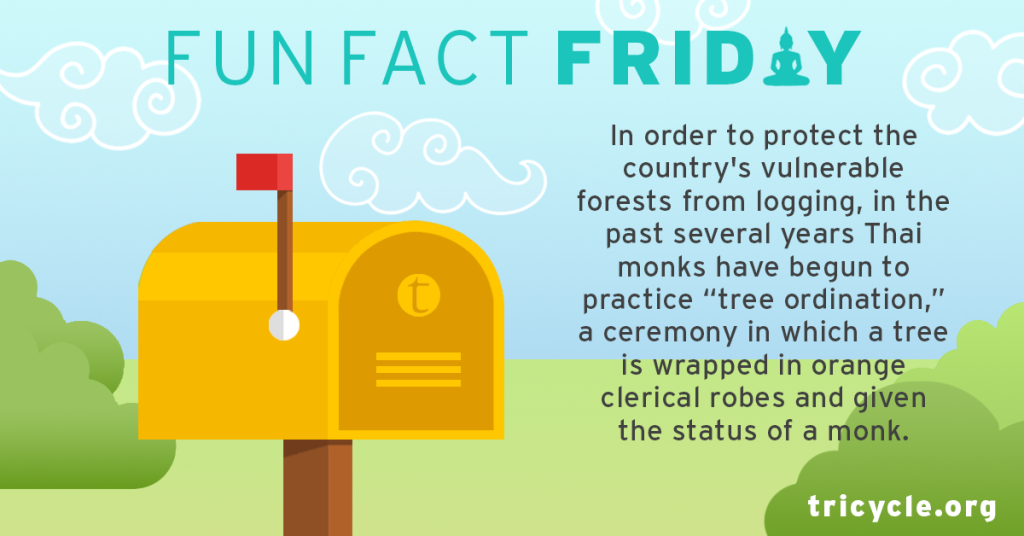 Fun Fact Friday