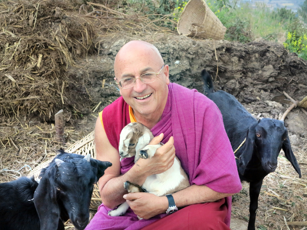 A Plea for the Animals from French Buddhist Monk Matthieu Ricard