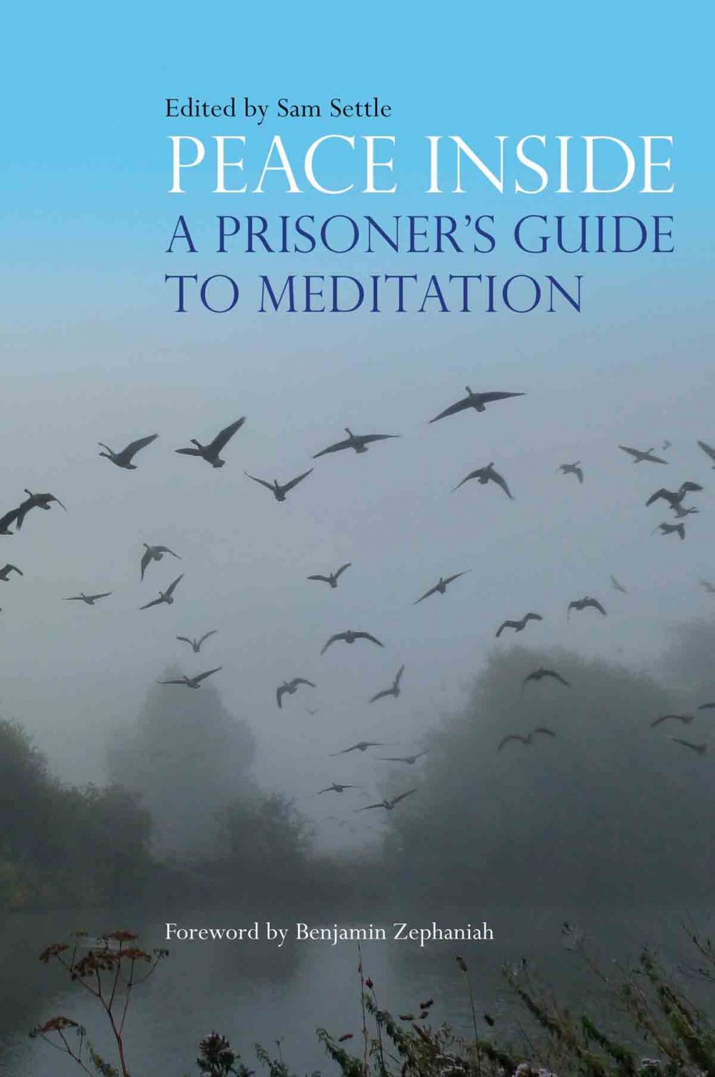 Books in Brief Fall 2017 - Tricycle: The Buddhist Review