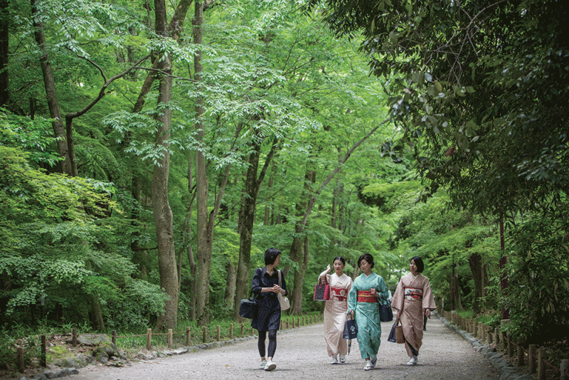 The Tree Guardians of Kyoto at Honen-in Temple - Tricycle