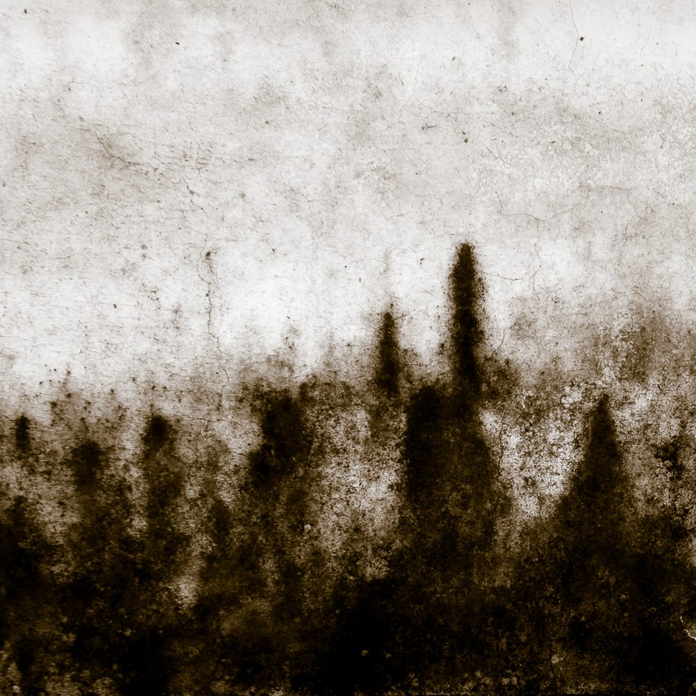 PHOTOS: The Natural Artwork of Japan's Temple Walls