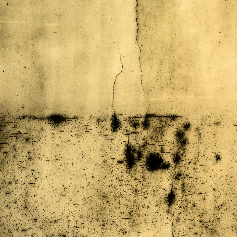 PHOTOS: The Natural Artwork of Japan's Temple Walls