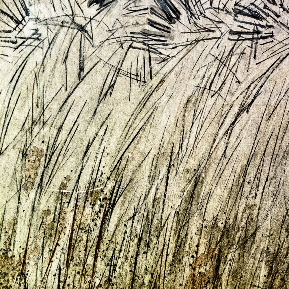 PHOTOS: The Natural Artwork of Japan's Temple Walls