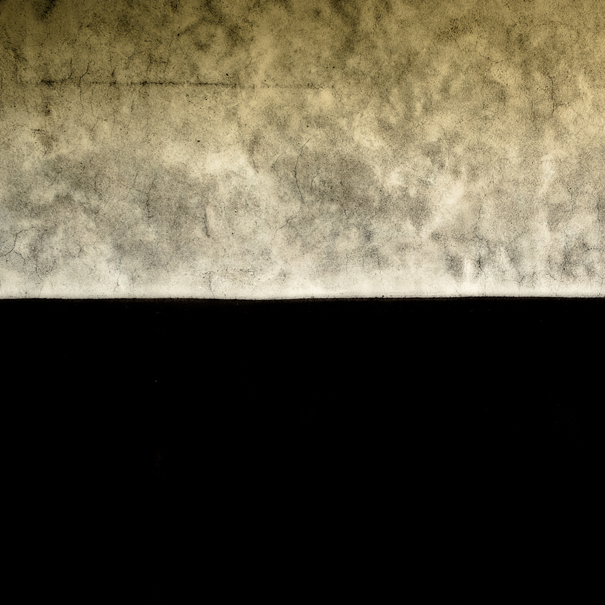 PHOTOS: The Natural Artwork of Japan's Temple Walls