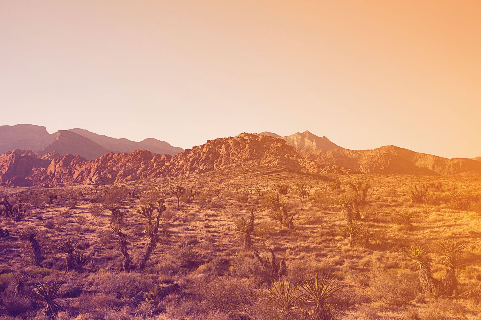 A poem from author and translator David Hinton's upcoming book, Desert