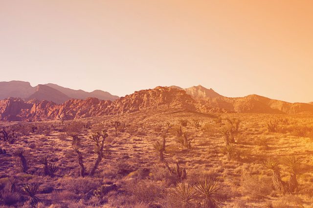 A poem from author and translator David Hinton's upcoming book, Desert