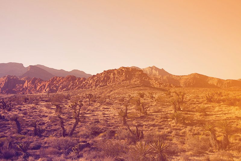 A poem from author and translator David Hinton's upcoming book, Desert