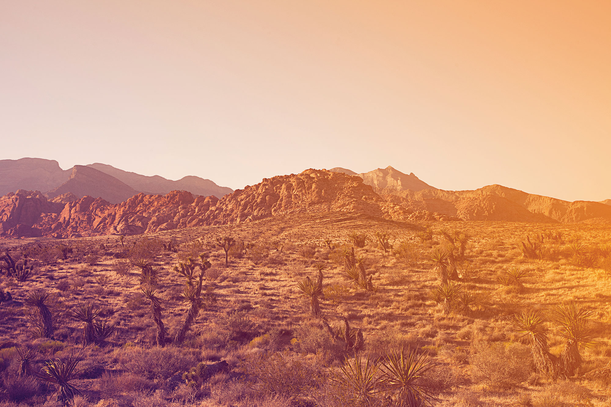 A poem from author and translator David Hinton's upcoming book, Desert
