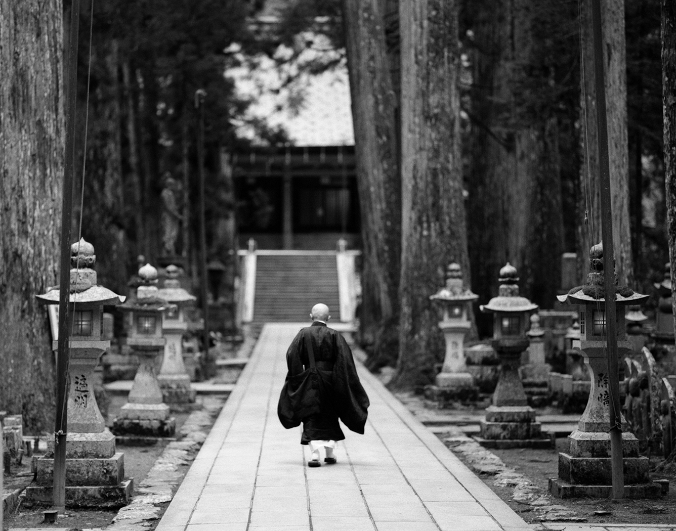 Buddha Buzz Weekly: May 18, 2018