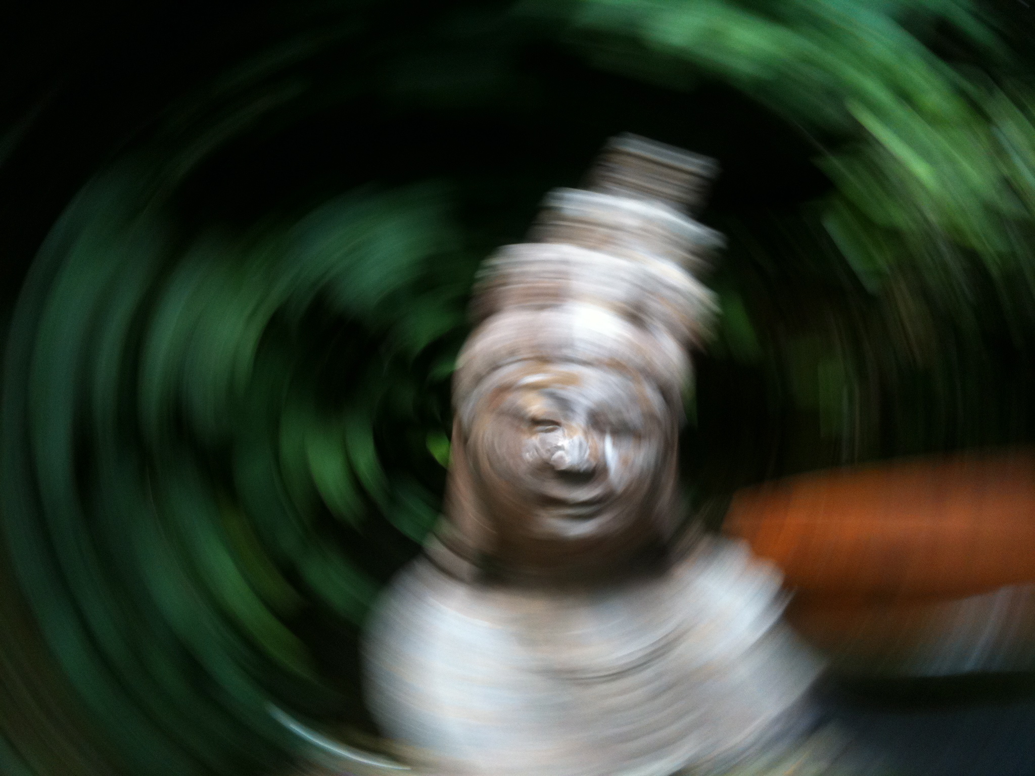 Samaya and the World of Shambhala - Tricycle: The Buddhist Review