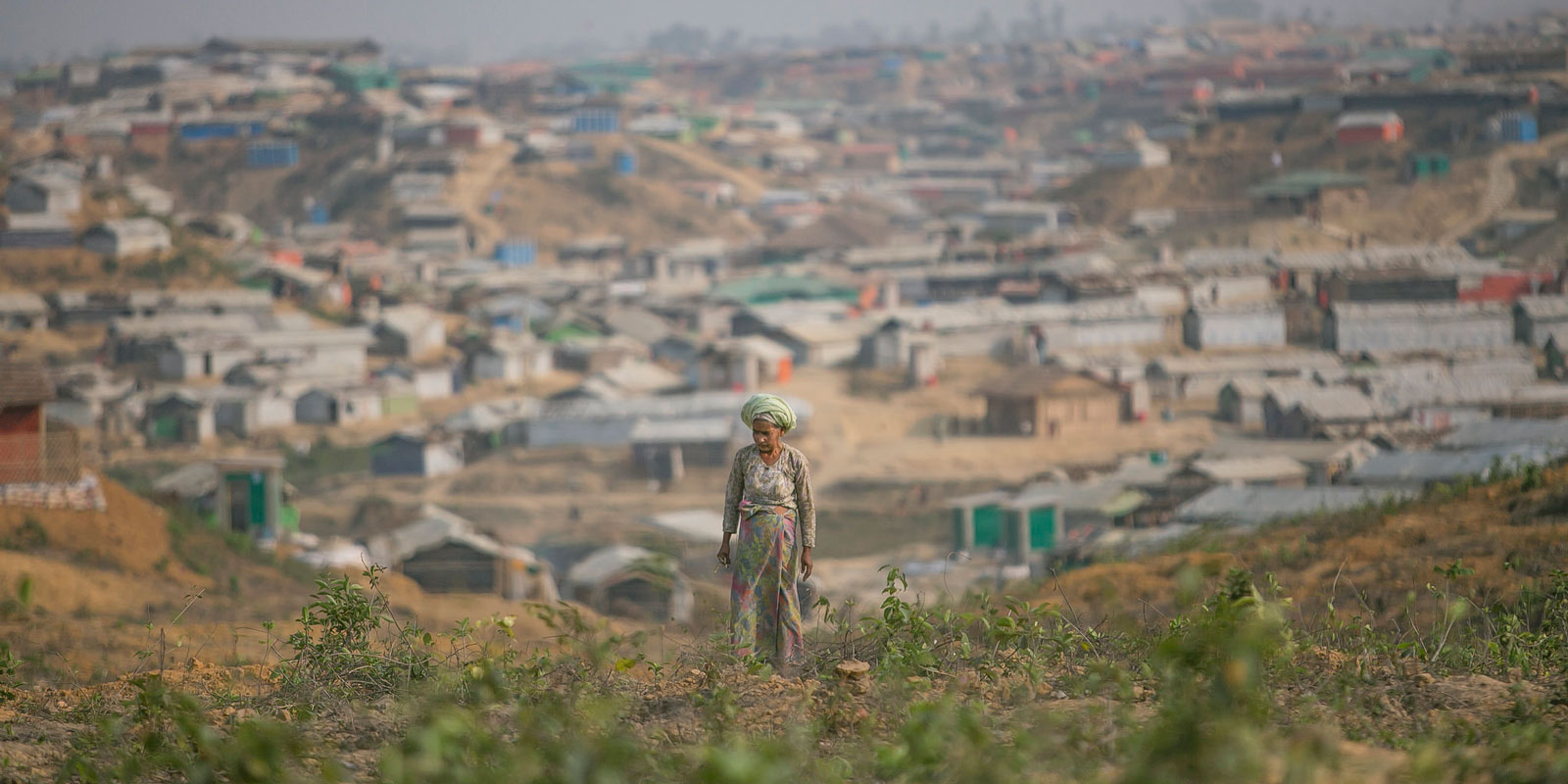 Buddha Buzz Weekly: Sept. 1, 2018 - Tricycle: The Buddhist Review