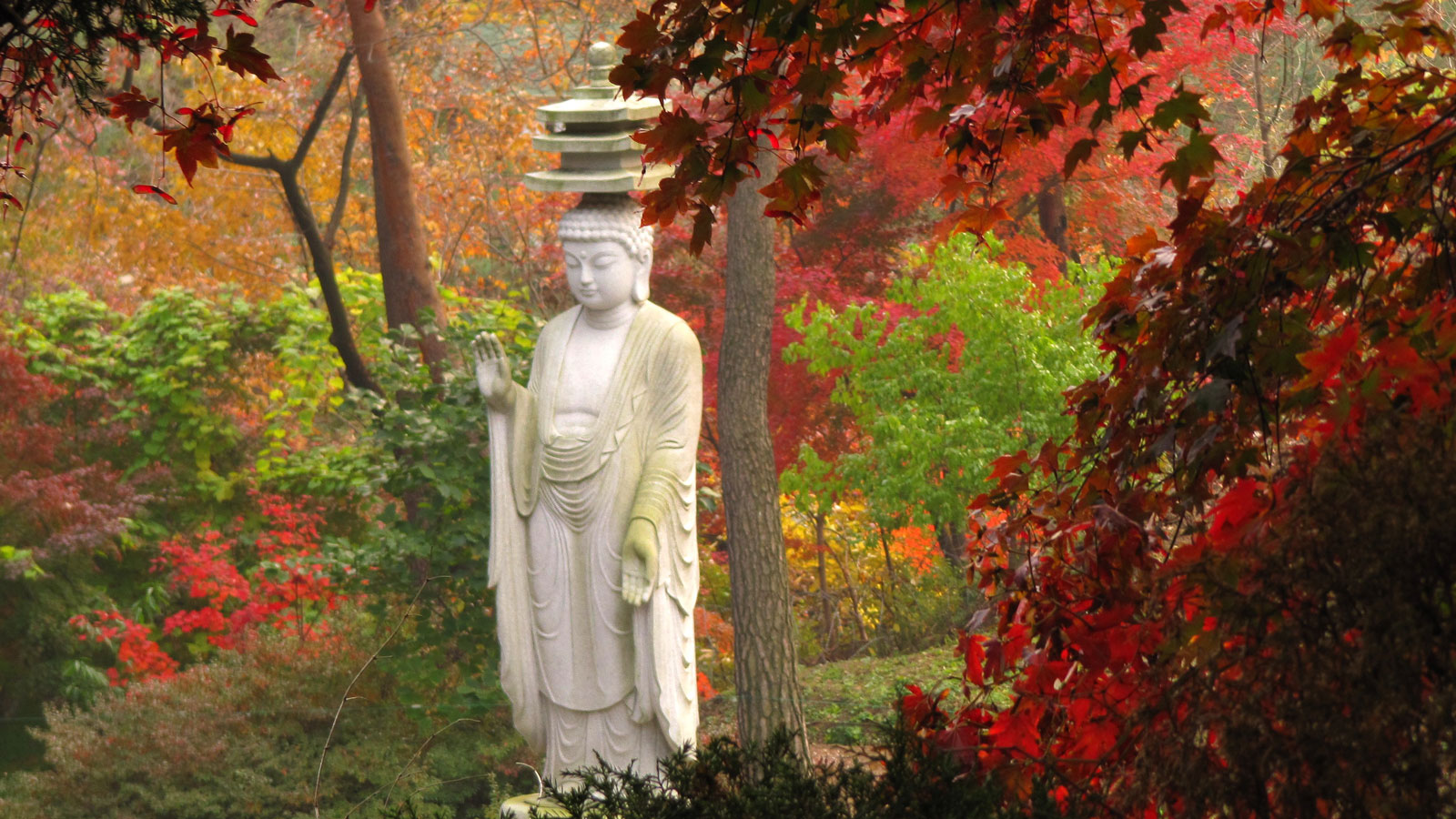 Satisfying Our Spiritual Appetite - Tricycle: The Buddhist Review