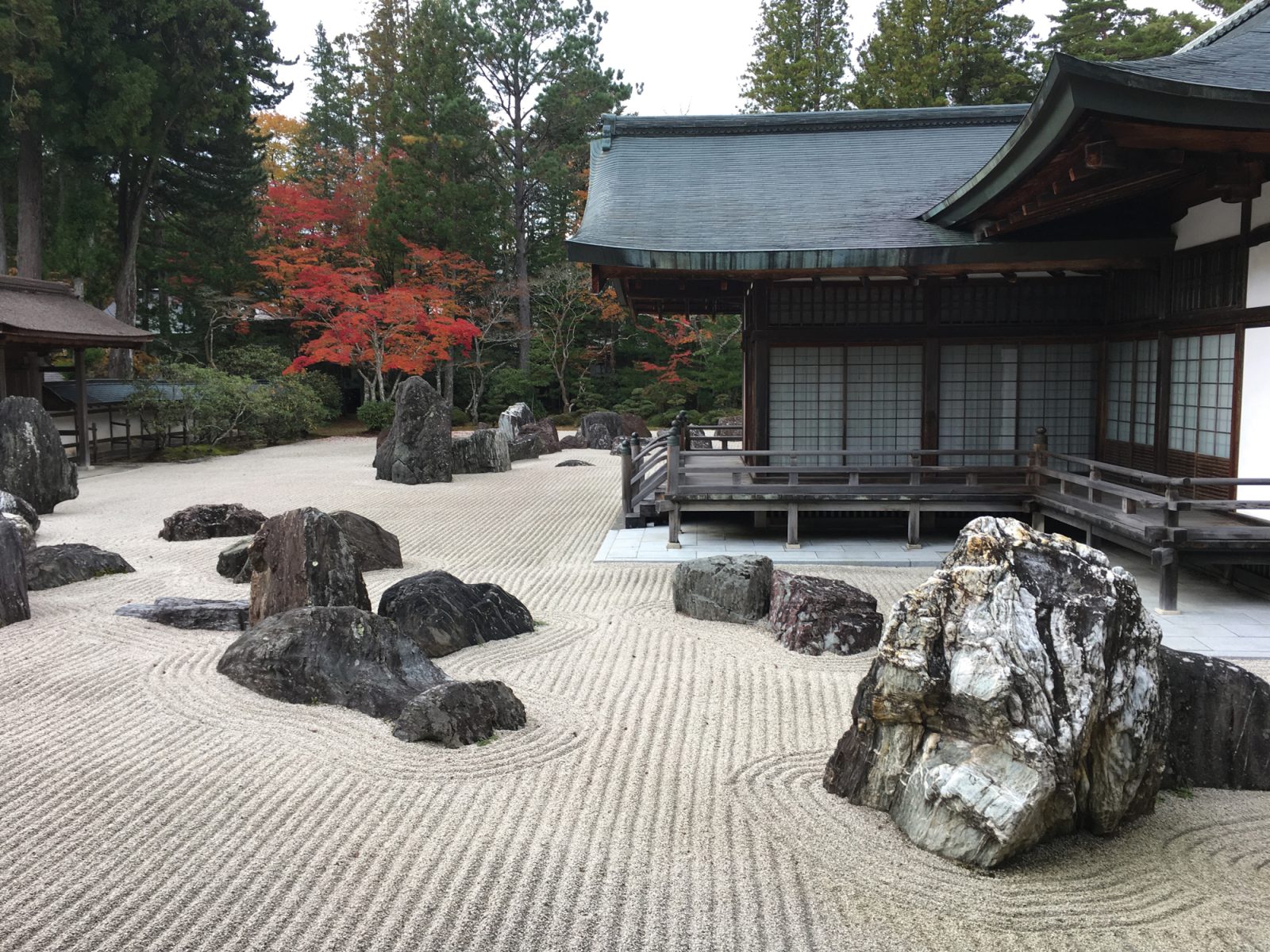 Changed by Brightness: A New Father's Pilgrimage