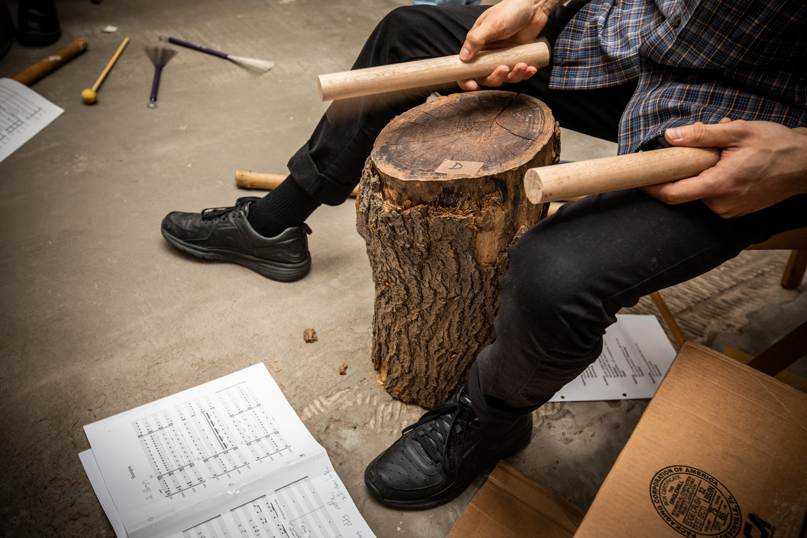 Heartwood Sutta: The Timbre of Timber - Tricycle: the Buddhist Review