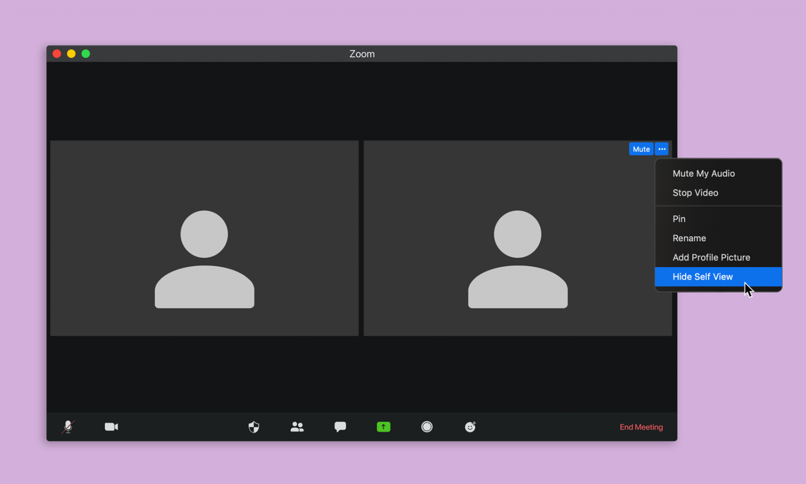 No Self View on Zoom - Tricycle: The Buddhist Review