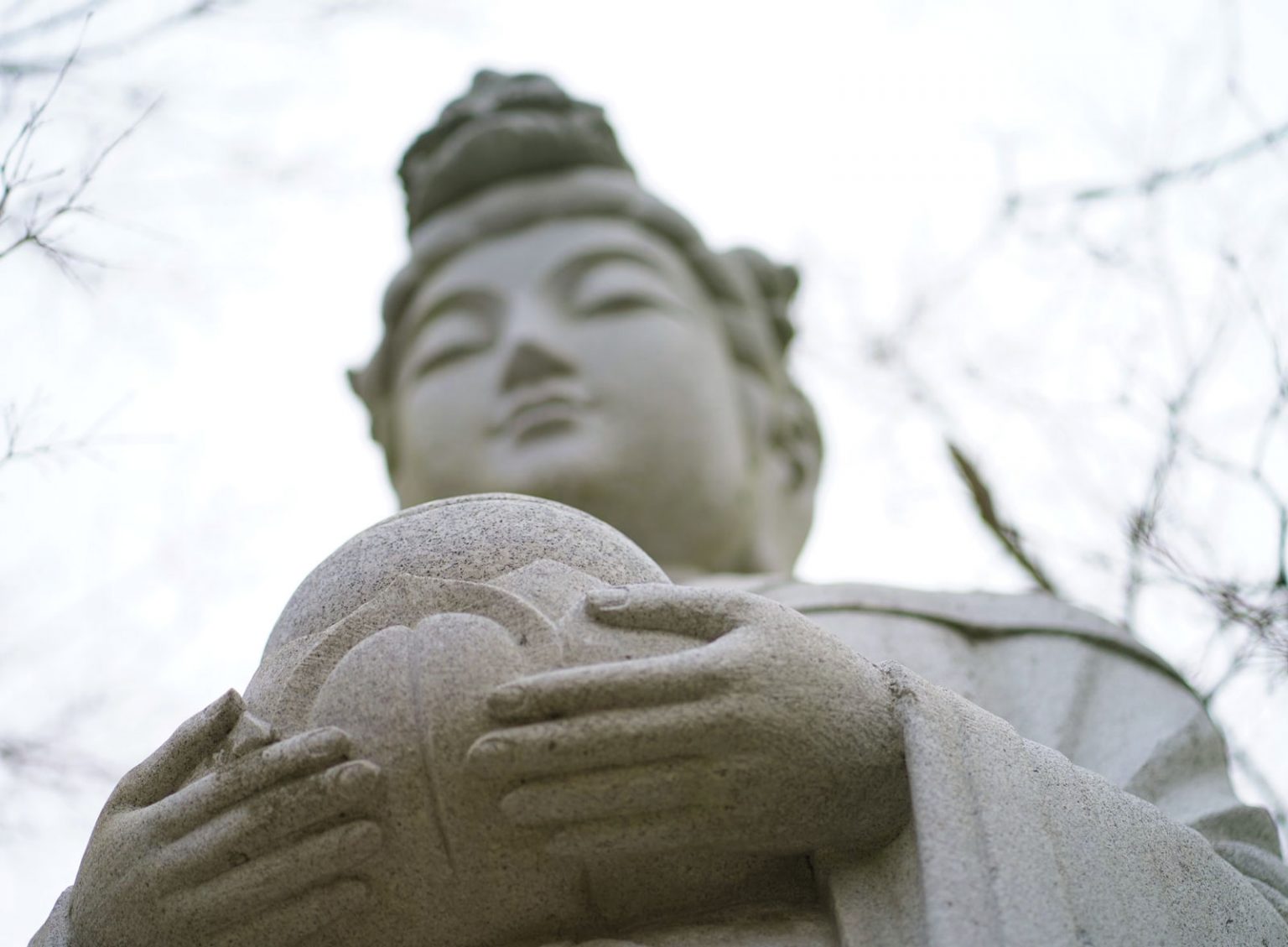 How to Follow the Bodhisattva Path Without Burning Out - Tricycle