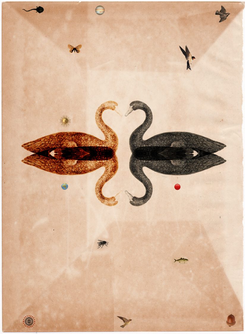 The Winning Haiku from the Winter Tricycle Haiku Challenge