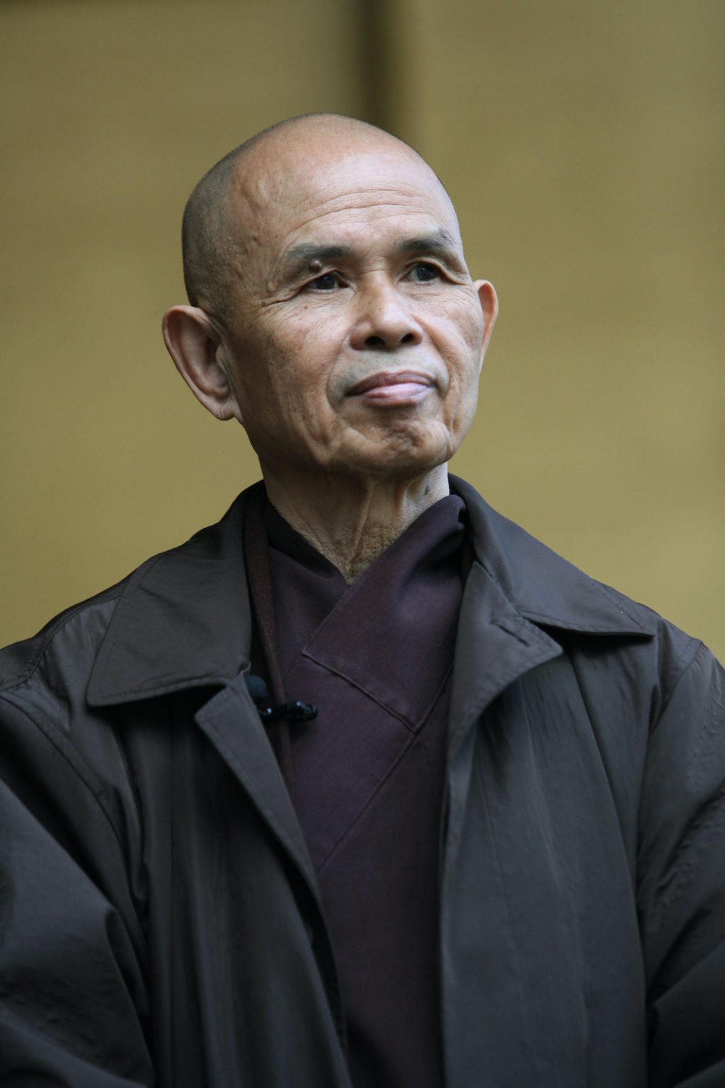 Thich Nhat Hanh, Vietnamese Zen Master, Dies at 95 - Tricycle