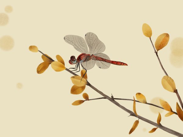 "Dragonfly" Haiku Winners - The Monthly Tricycle Haiku Challenge