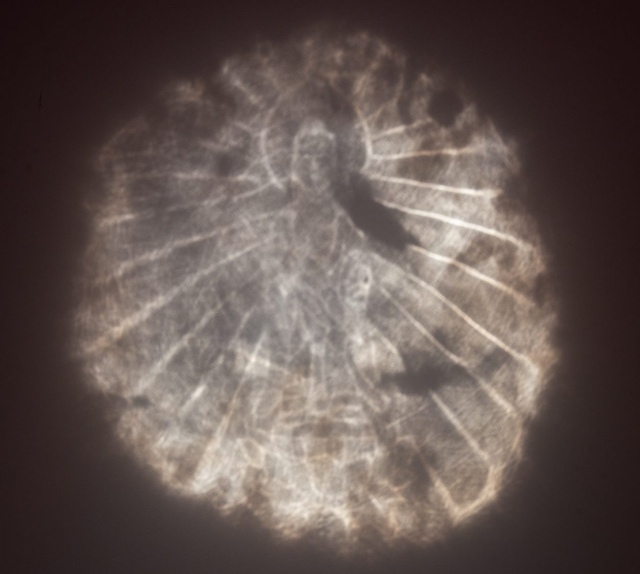 This “Magic Mirror” Reveals a Hidden Buddha - Tricycle