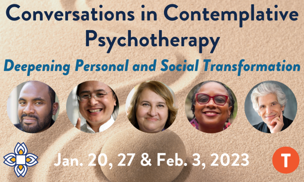 Conversations in Contemplative Psychotherapy: Deepening Personal and ...