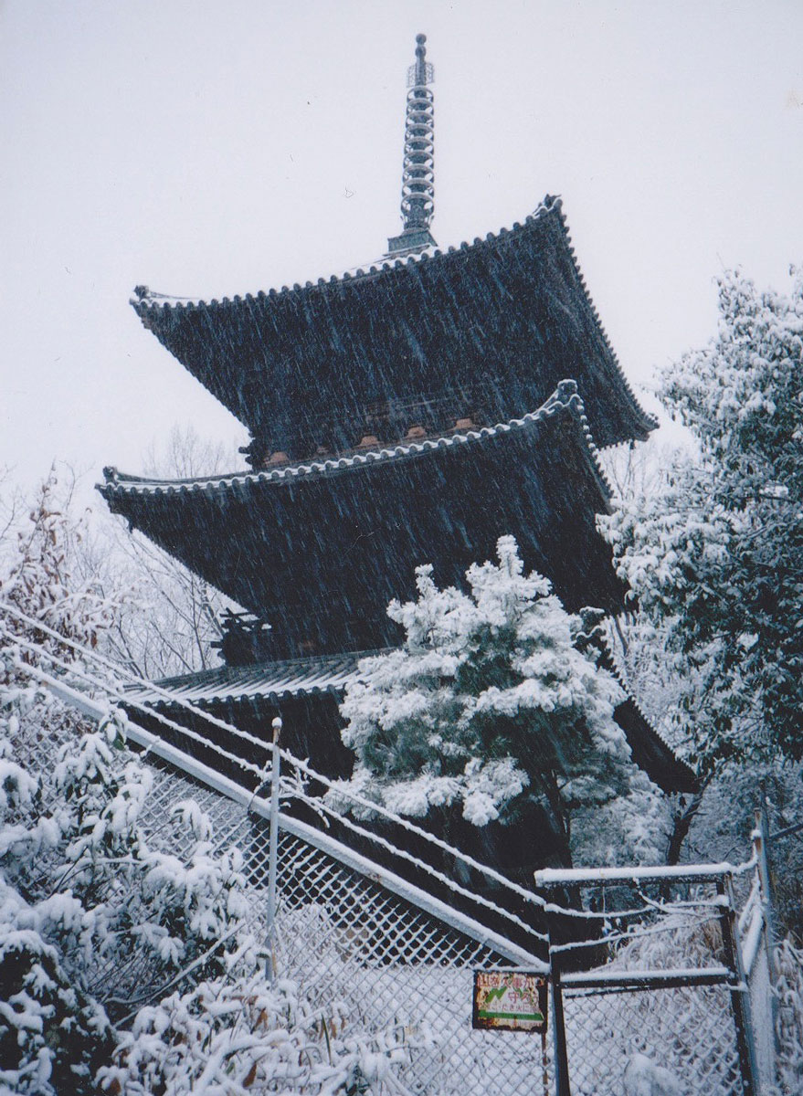 The Zen of Cold - Tricycle: The Buddhist Review