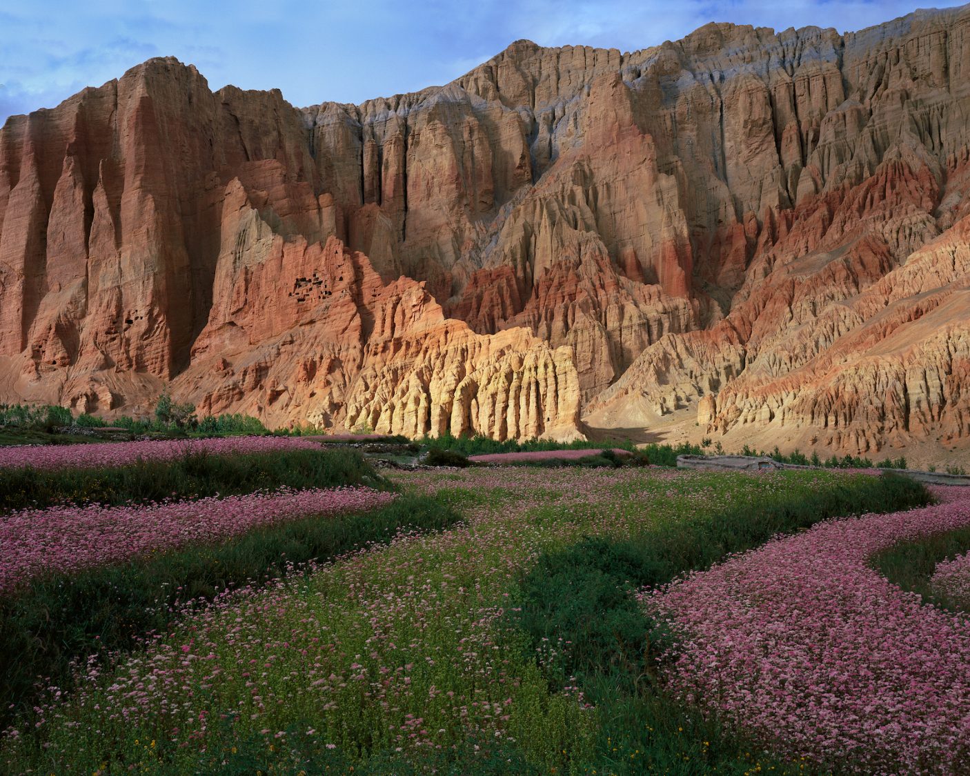 The Living Practice of Monastery Maintenance - Tricycle