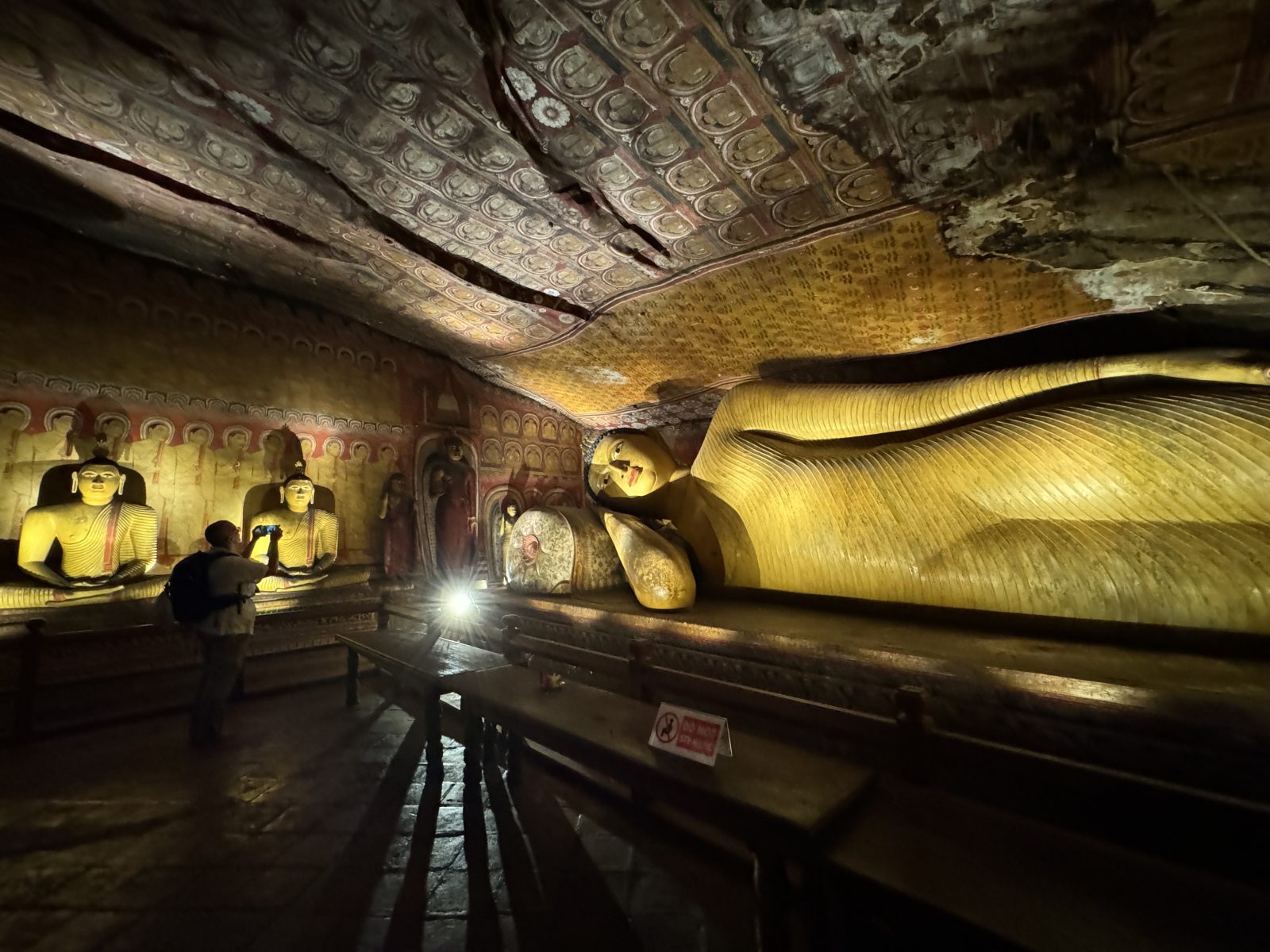 The Tree and the Tooth - Tricycle: The Buddhist Review