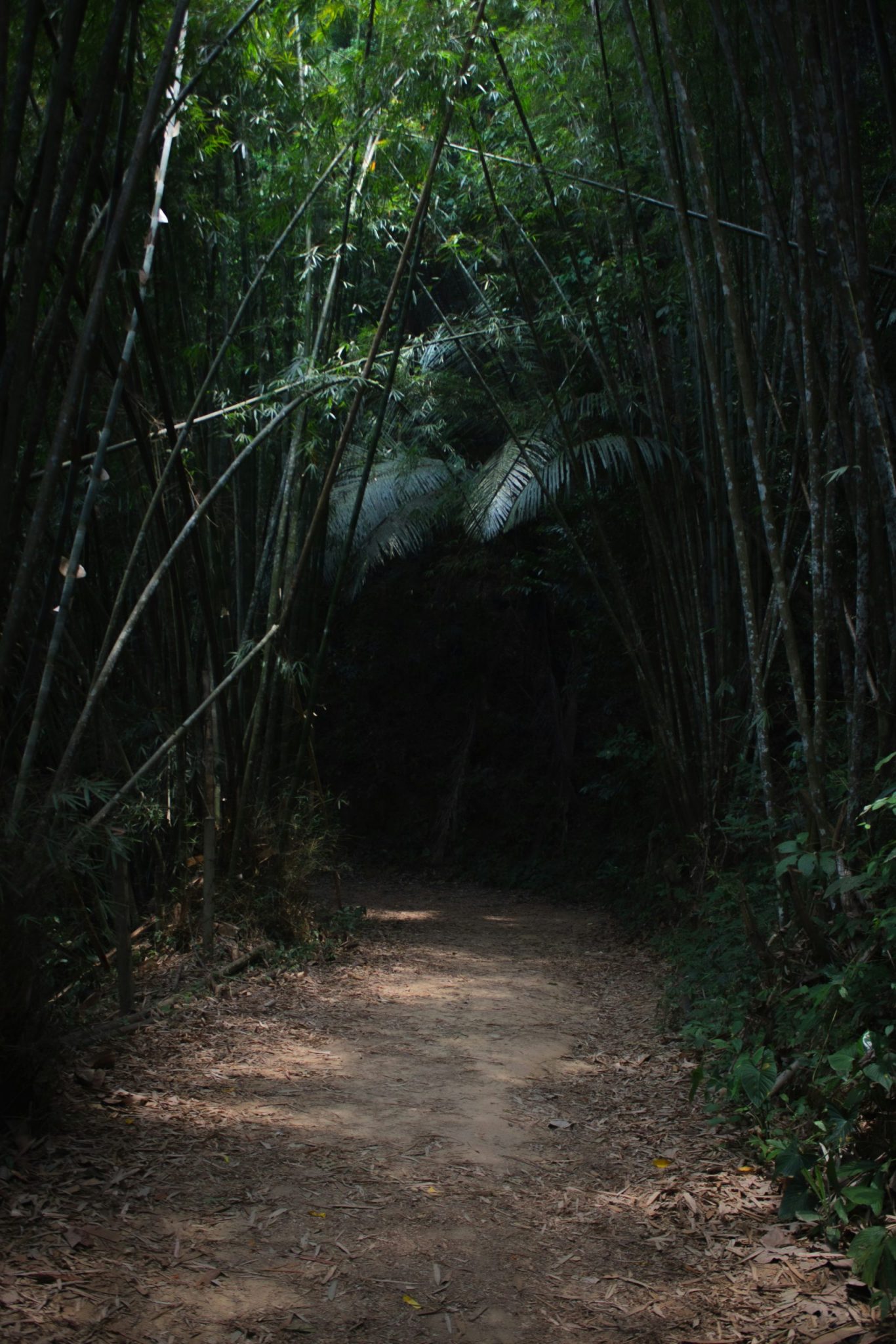 A Thai Forest Ghost Story: The Corpse on Her Lap - Tricycle