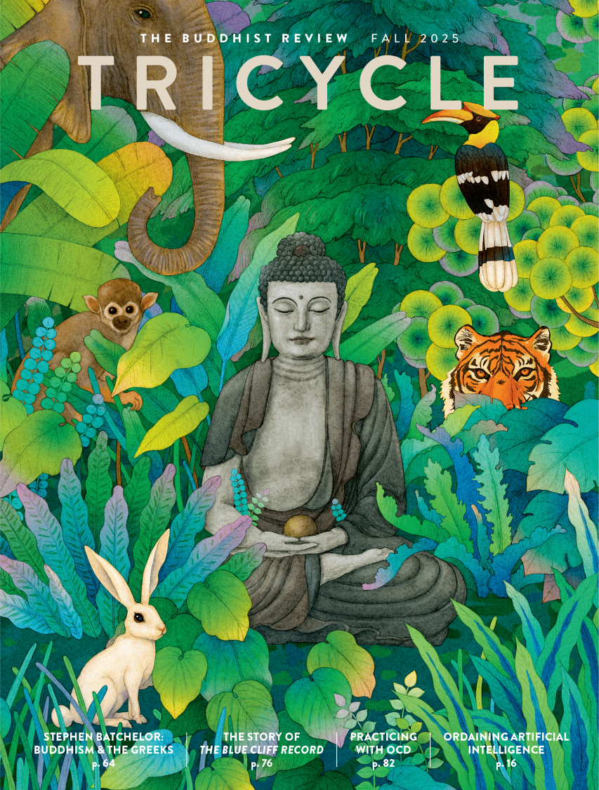 Magazine Archive - Tricycle: The Buddhist Review