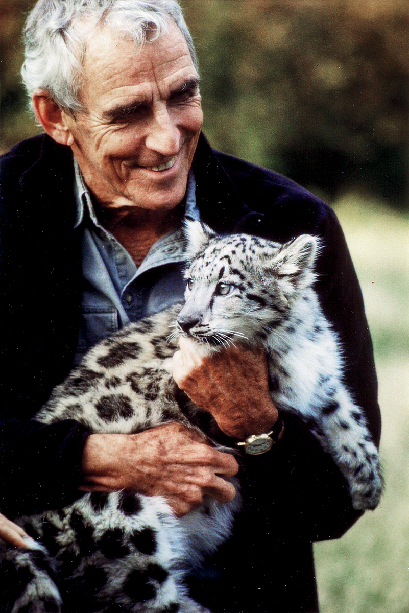 Biography of Peter Matthiessen: Review by David Guy