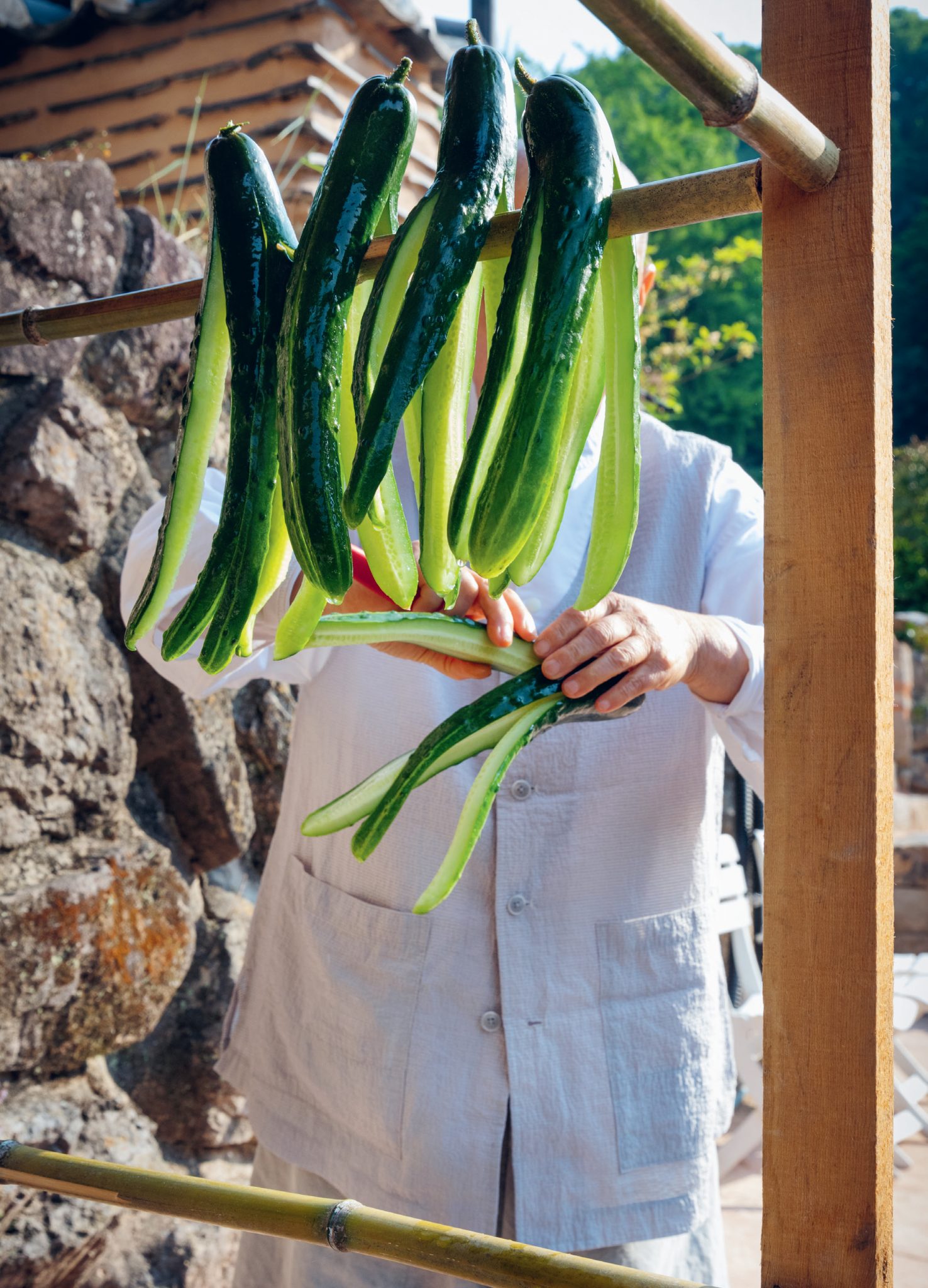 On the Significance of Hands